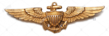 About Captain Hanley - 911 Pilots.org